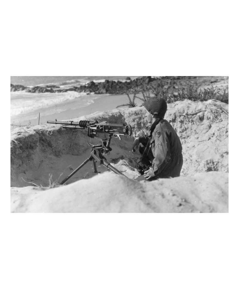 66° INFANTRY DIVISION standard – Militaria Jeep 35